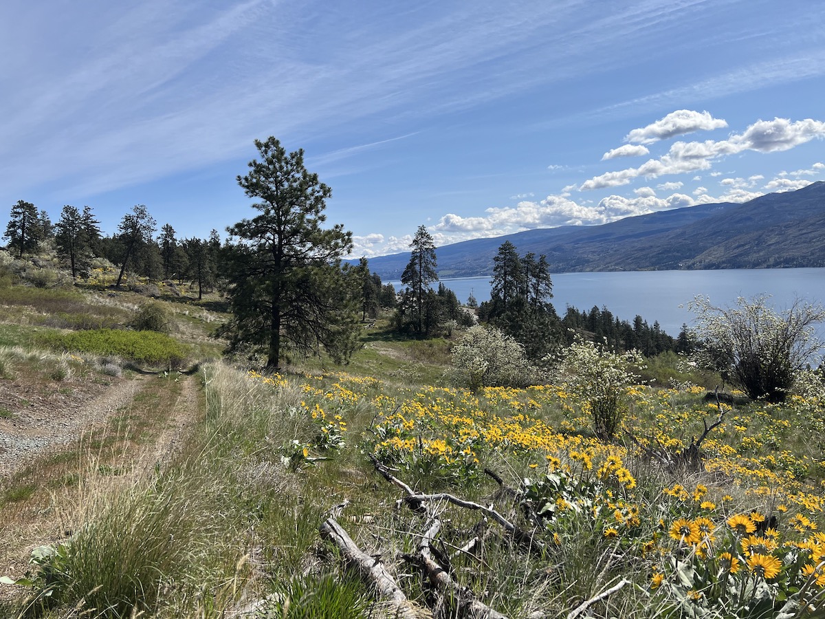 10+ years: A timeline of the New Monaco project | The Peachland Phoenix